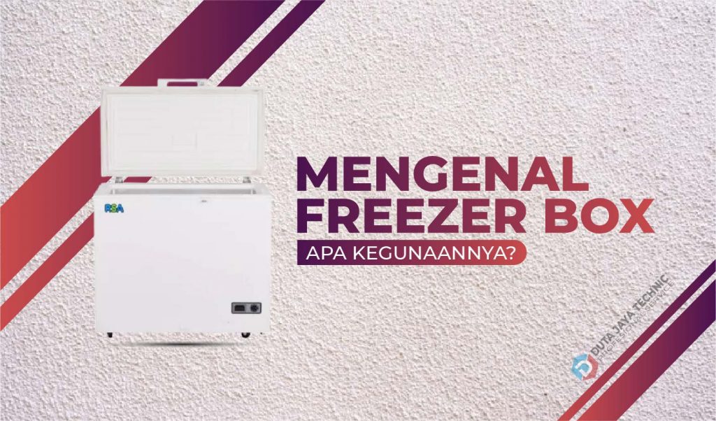 Mengenal Freezer Box dan Kegunaanya, Simak Berikut ini!